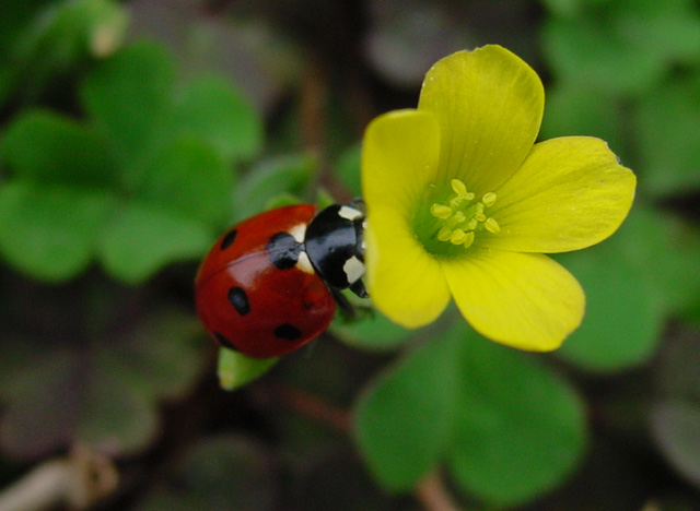 내일 받으실 분 입니다 > 자유게시판 | 두승산밑꿀벌집